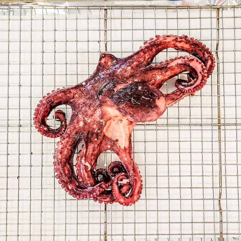 Grilled Octopus - Dishes With Dad